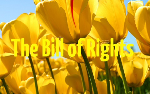 The Bill of Rights by maddie thein on Prezi