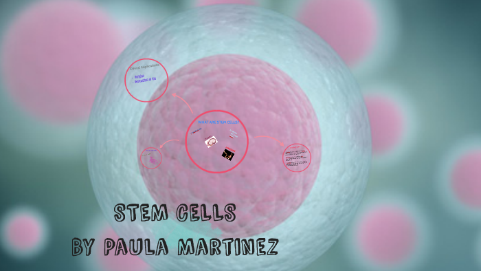 Steam Cells by paula martinez on Prezi
