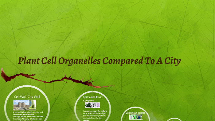Plant Cell Organelles Compared To A City by Roosha Zaidi on Prezi