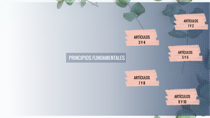PRINCIPIOS FUNDAMENTALES by Ana Sofía Olarte Lotero on Prezi