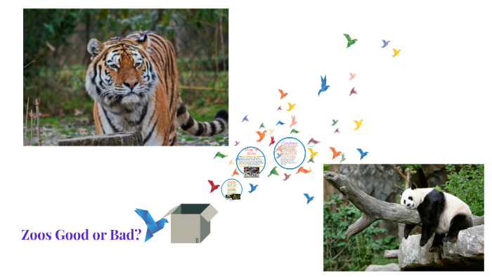 Zoos good or bad? by Osvaldo Ornelas on Prezi