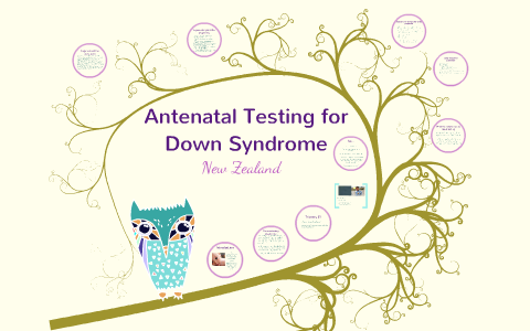 Antenatal Testing for Down Syndrome by Anouk Rondel on Prezi