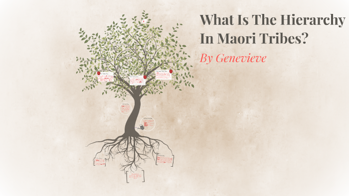 What Is The Hierarchy In Indigenous Tribes? by Genevieve O"Brien on Prezi