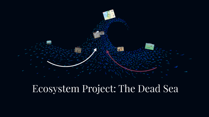Ecosystem Project: The Dead Sea by on Prezi