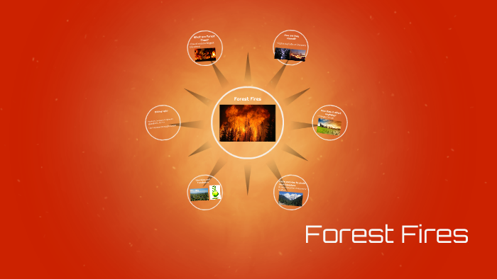 Forest Fires by kiran toor on Prezi