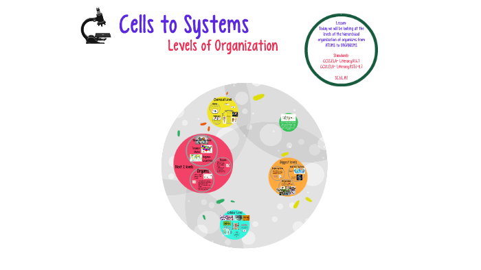 Cells to Systems by rebecca mendez on Prezi