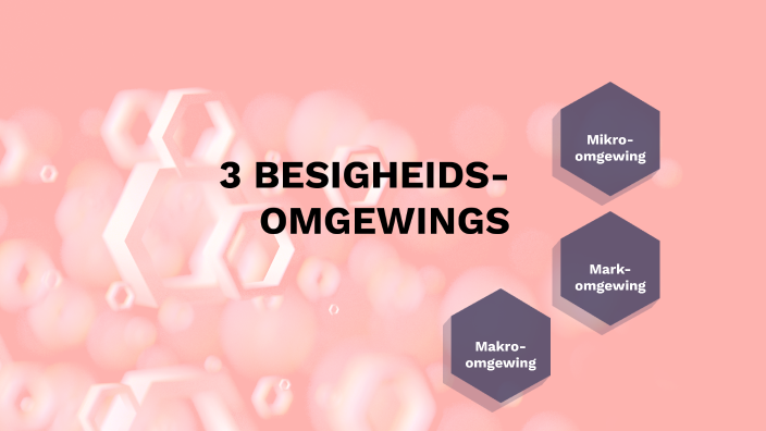 Die 3 Besigheidsomgewings by Vianca Boer on Prezi