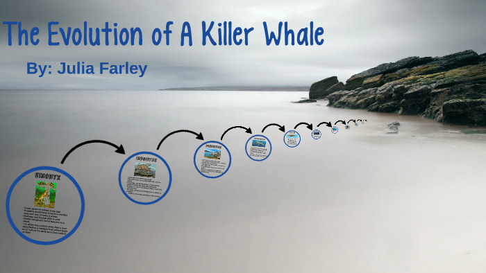 Evolution of a Killer Whale by Pashence weaver on Prezi