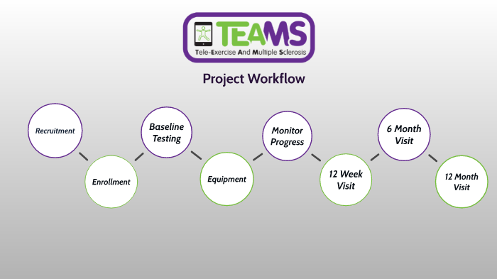 TEAMS Workflow Chart by Whitney Neal on Prezi