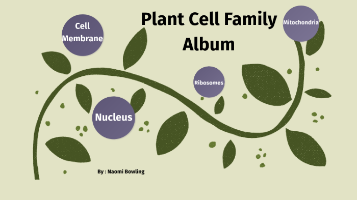 Plant Cell - Family Photo Album - Biology - 6th Period by Naomi Bowling ...