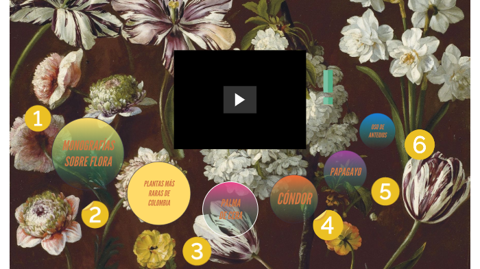 fauna-flora by Valentina Centeno on Prezi