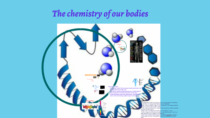 The chemistry of our bodies by on Prezi