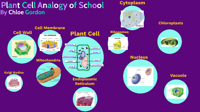 Plant Cell Analogy of School by Chloe Gordon on Prezi