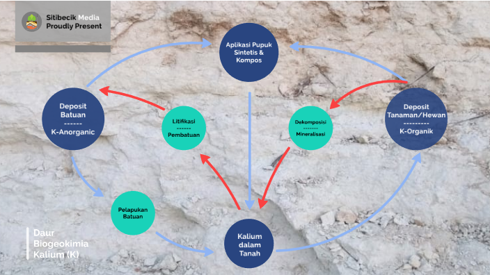 daur kalium by Hizkia Simangunsong on Prezi