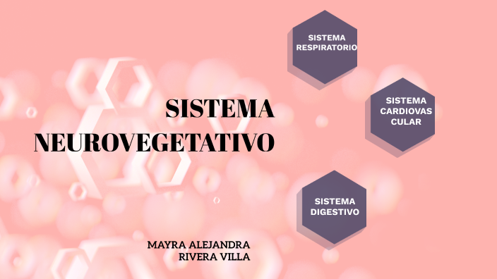 SISTEMA NEUROVEGETATIVO by Alejandra Villa on Prezi