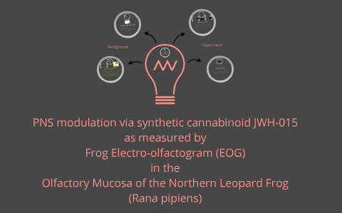 PNS modulation by cannabinoid JWH-015, observed by Frog Electro ...