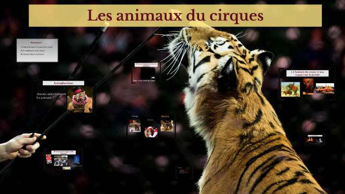 Les animaux du cirques by Lucia Hernandez-Bardou on Prezi