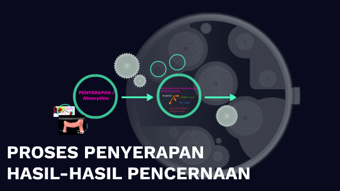 PROSES PENYERAPAN HASIL-HASIL PENCERNAAN by CARMEN CHANG on Prezi