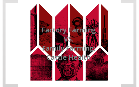 Factory Farming Versus Family Farming by Jenna Holt on Prezi