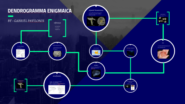 Dendrogramma Enigmatica by gabriel pavilonis on Prezi