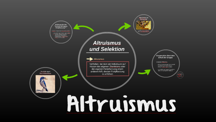 Altruismus by Johanna Homann on Prezi