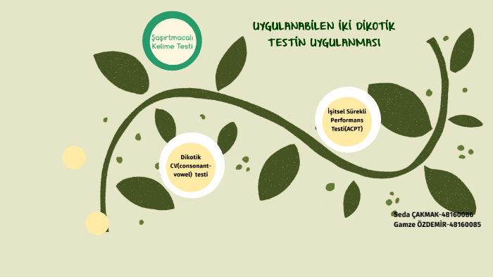 DİKOTİK TESTLER by seda çakmak on Prezi