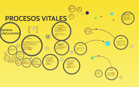 PROCESOS VITALES by Nikolas Cevallos on Prezi