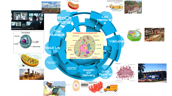 Cell City's Amusement Park by Craig Hamilton on Prezi