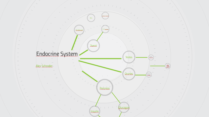 Concept Map by Alex Schrader on Prezi