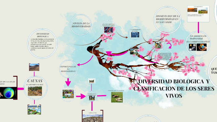 DIVERSIDAD BIOLOGICA Y CLASIFICACION DE LOS SERES VIVOS by sandra alarcon