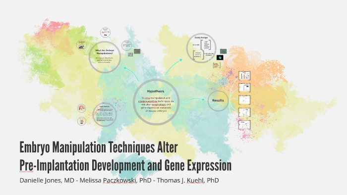 Embryo Manipulation Techniques Alter Pre-Implantation Develo by ...