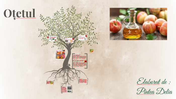 Acidul acetic by Aliona Pintea on Prezi