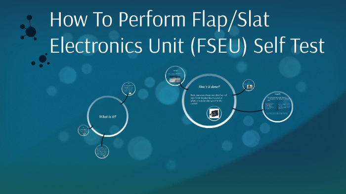 How To Perform Flap/Slat Electronics Unit (FSEU) Self Test by Reza ...