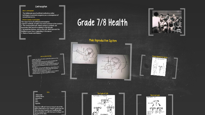 Grade 7 Health by Arlen Head
