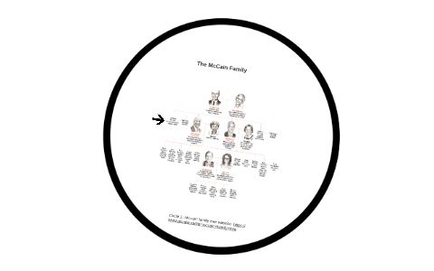 The McCain Family by maryam balaha on Prezi