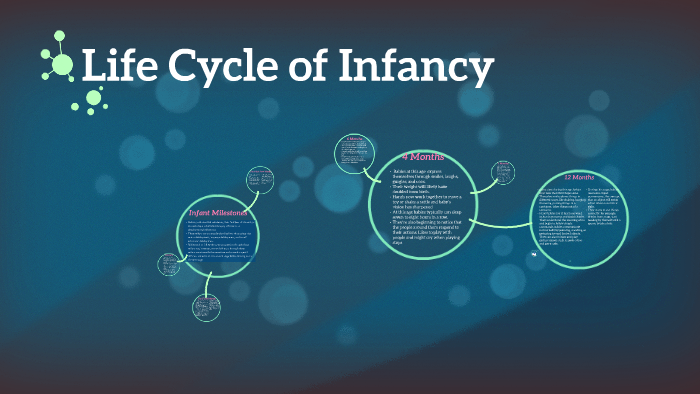Life Cycle of Infancy by Ashley Haut on Prezi