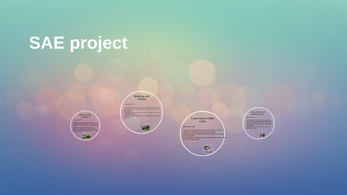 SAE project plans by Molly Tomlinson on Prezi