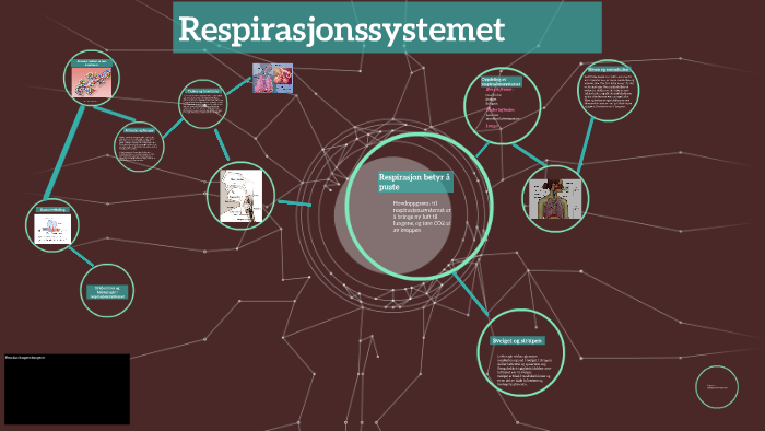 Respirasjonssystemet by Ina Karín Pierron on Prezi