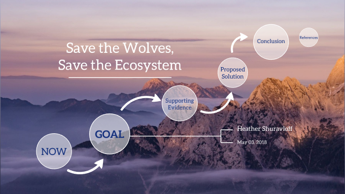 Saving the Wolves & the Ecosystem by Heather Shuravloff on Prezi
