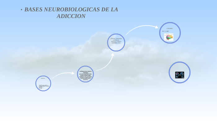 BASES NEUROBIOLOGICAS DE LA ADICCION by Pilar Palma on Prezi