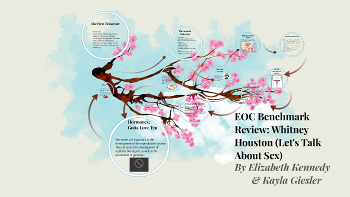 EOC Benchmark Review: Whitney Houston (Let's Talk About Sex) by ...