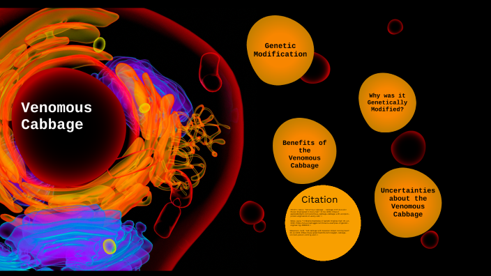 Venomous Cabbage by kylie steelman on Prezi