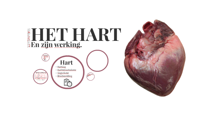 HET HART by Zainab Dalí on Prezi
