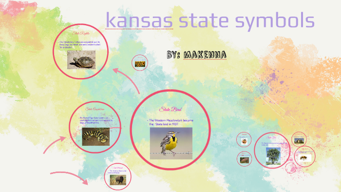kansas state symbols by jennifer lanman on Prezi