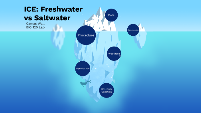 Freshwater vs Saltwater by Camas Wall on Prezi