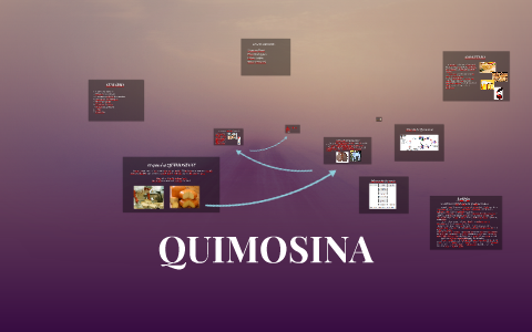 QUIMOSINA by giovana tiemi on Prezi