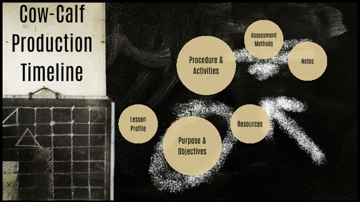 Cow-Calf Production Timeline by Alexzander Olliff on Prezi