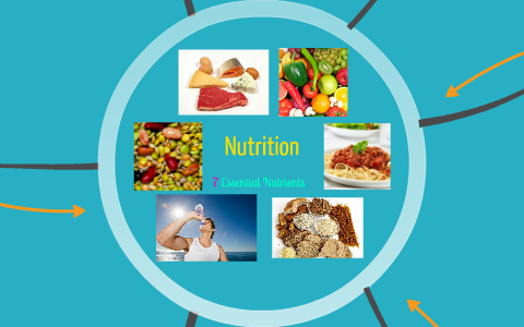 7 Essential Nutrients by christopher eng on Prezi