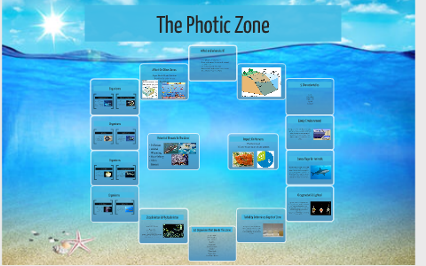 The Photic Zone by Zoe Ebright on Prezi