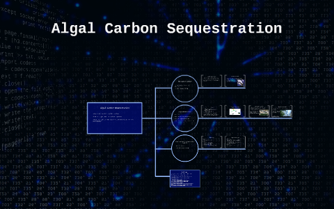 Carbon Sequestration Using Algae by yoko k on Prezi